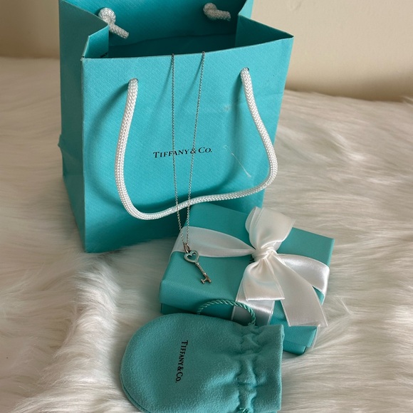 Tiffany & Co. | Jewelry | Auth Tiffany Necklace Silver Euc | Poshmark